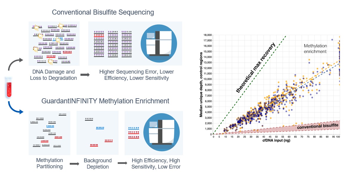 DNA Methylation as a Biomarker of Cancer Therapy Response and Minimal Residual Disease: Trends ...